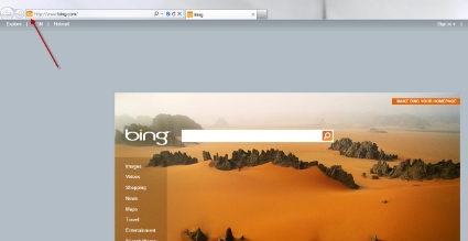 Bing Favicon missing on Taskbar URL icon • Discussions • DisplayFusion ...